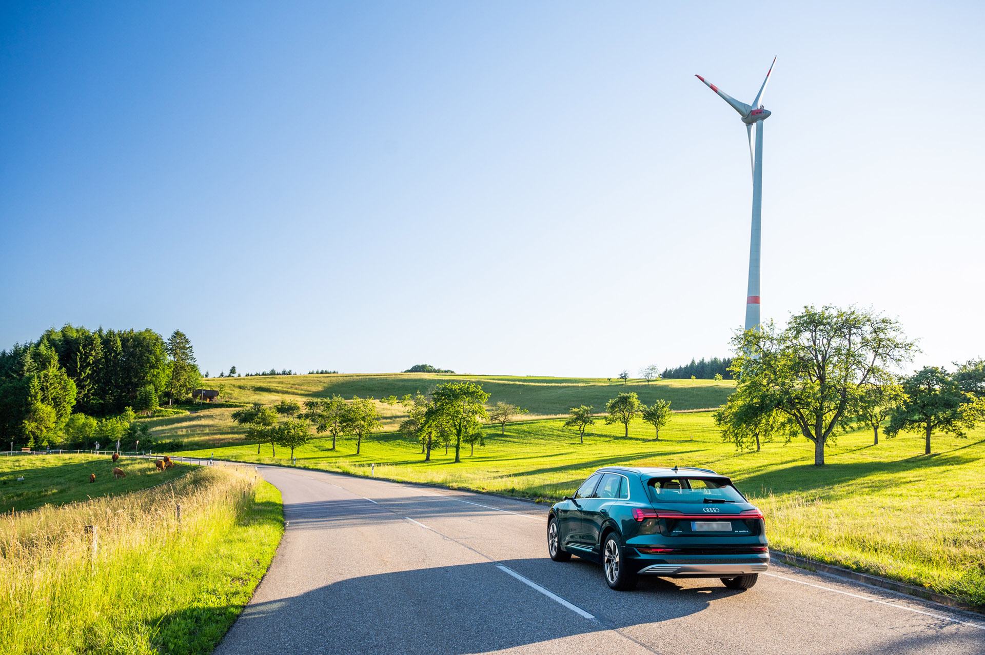 ElectricDrives | Government publishes its ‘greenprint’ to decarbonise ...