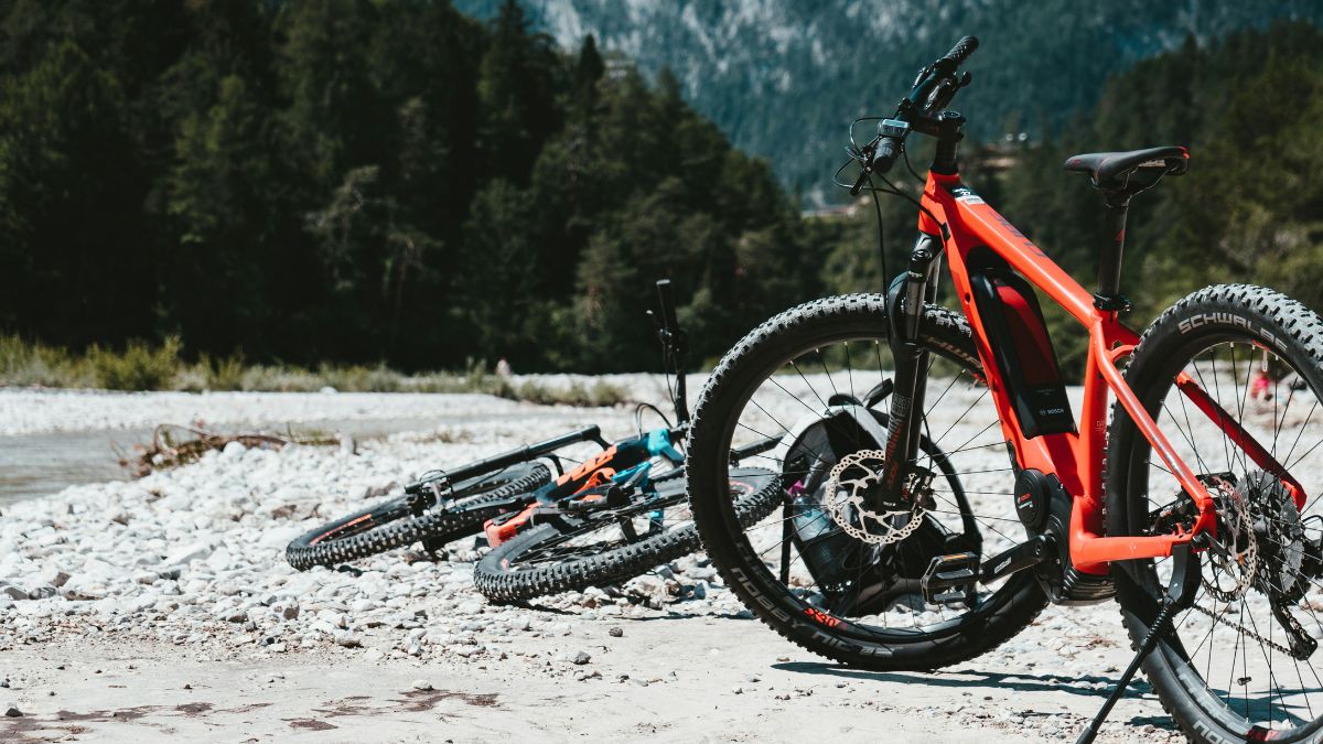 Decathlon Pulse acquires majority stake in Rebike Mobility ...